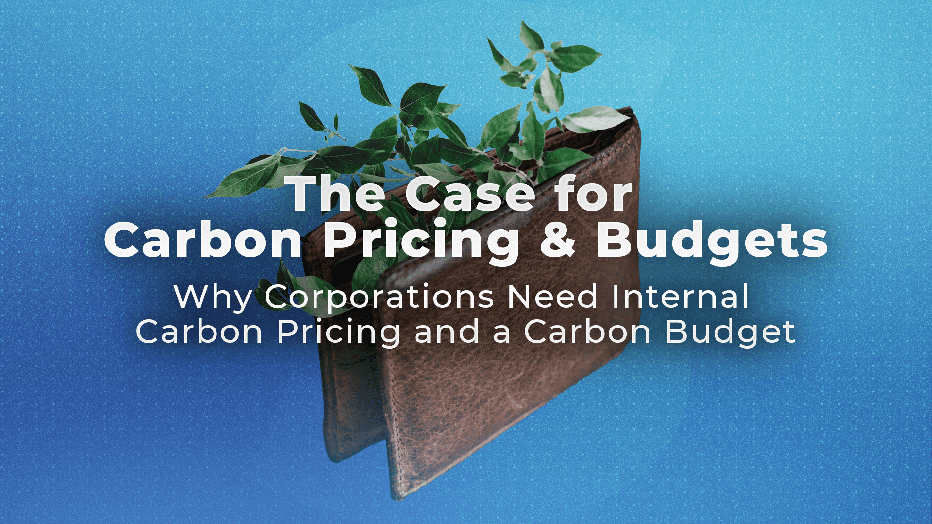 Why Corporations Need Internal Carbon Pricing and a Carbon Budget ...
